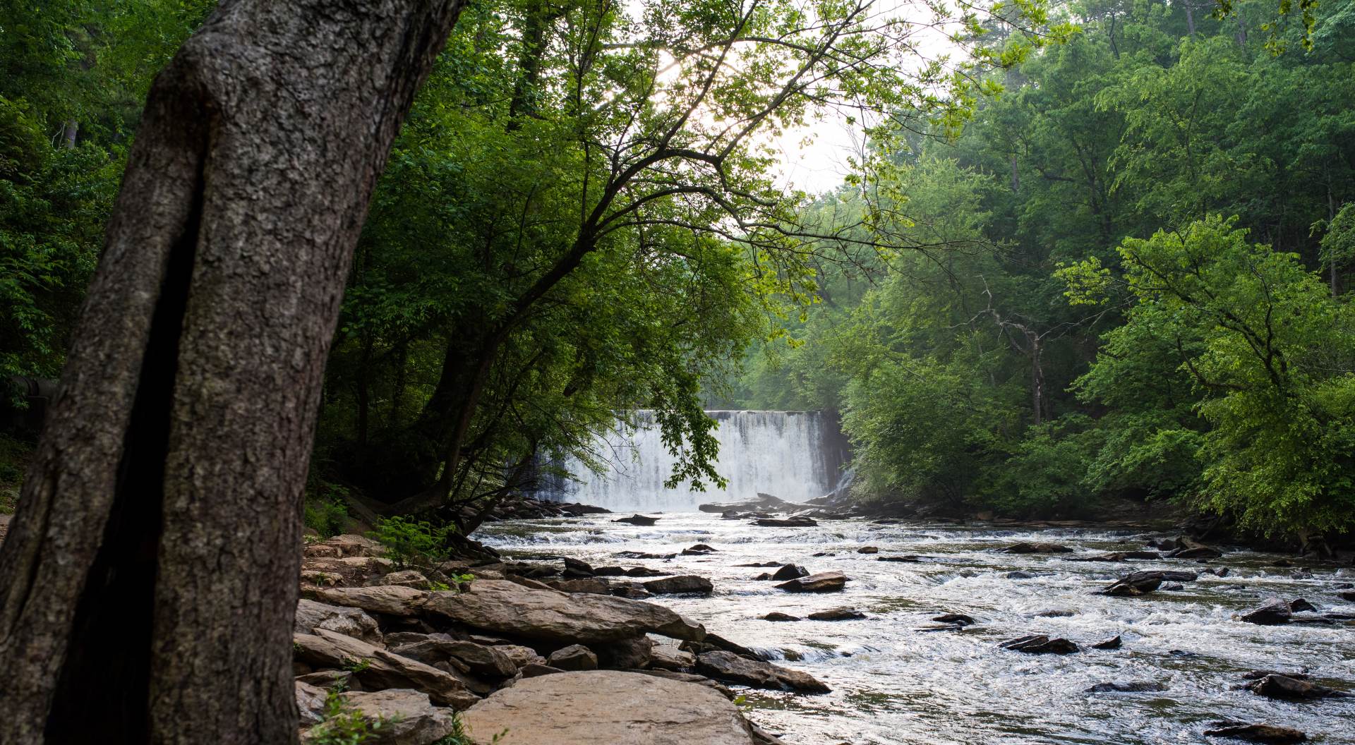 Roswell CVB | At Your Natural Pace.