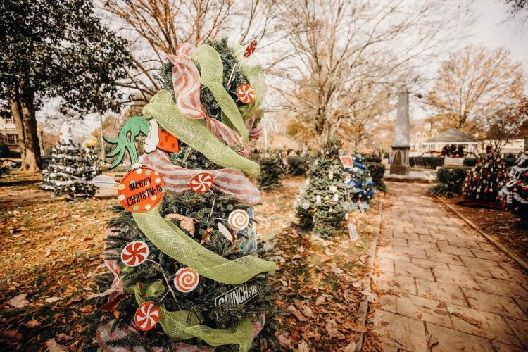 Roswell CVB | City of Roswell Announces Lighting of the Christmas Tree Roswell CVB | City of Roswell Announces Lighting of the Christmas Tree